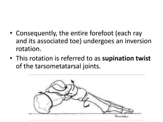 Biomechanics of foot | PDF