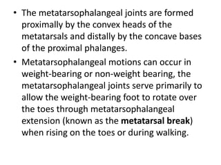 Biomechanics of foot | PDF