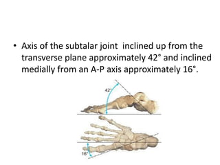 Biomechanics of foot | PDF
