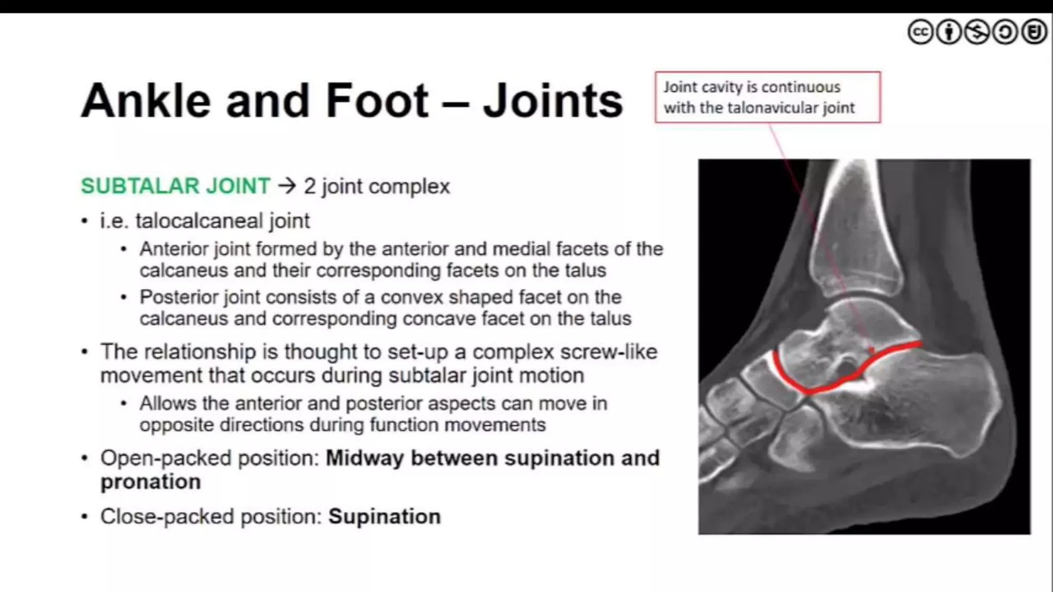 Biomechanics of foot and ankle | PPTX