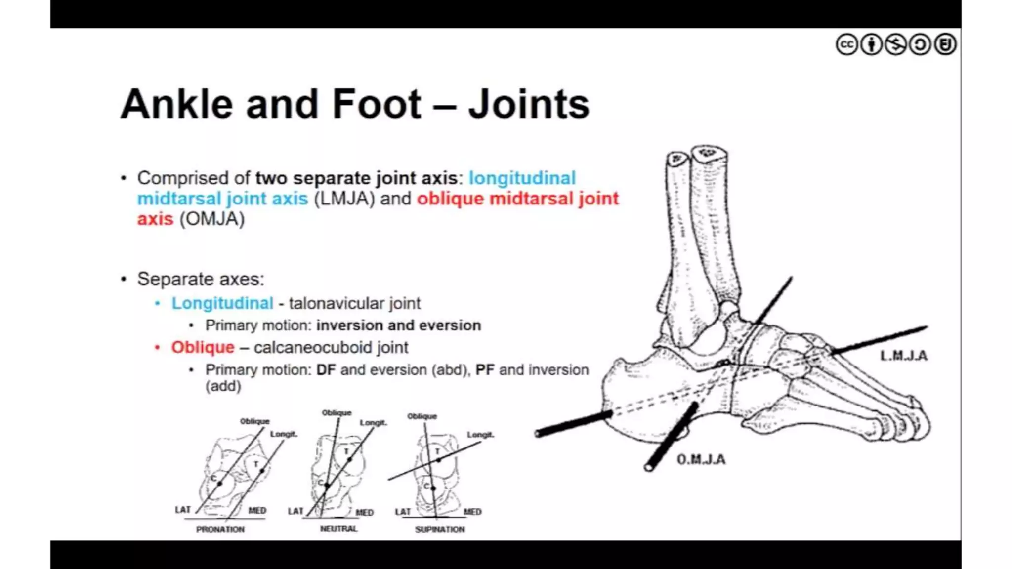 Biomechanics of foot and ankle | PPTX