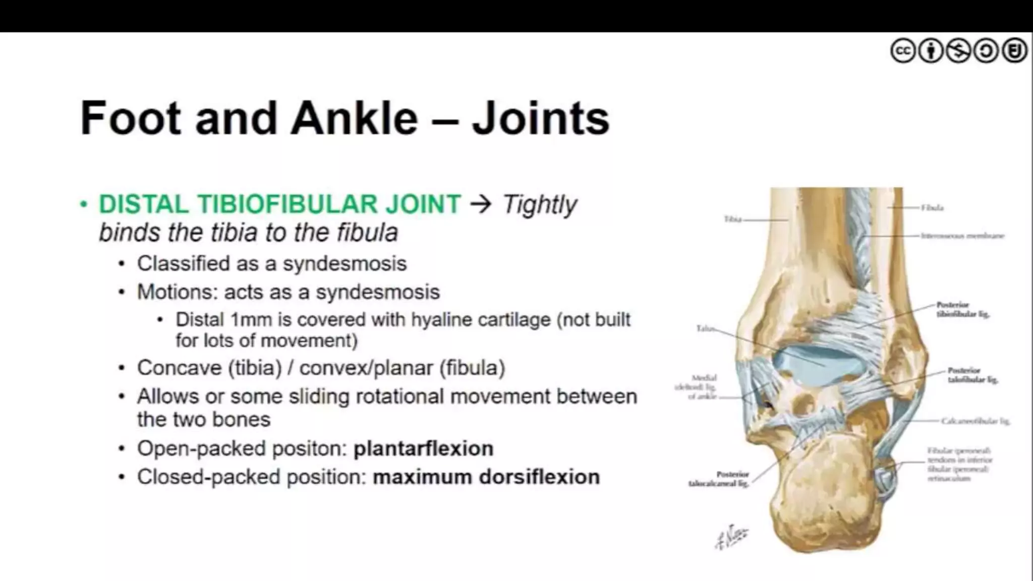 Biomechanics of foot and ankle | PPTX