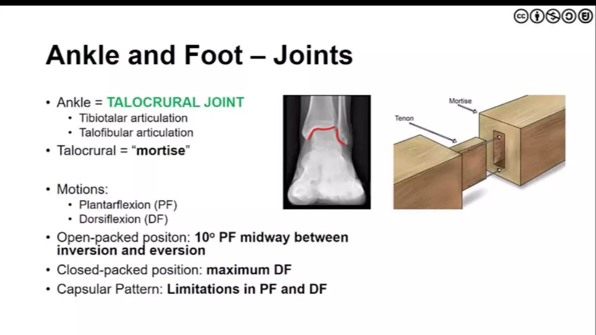 Biomechanics of foot and ankle | PPTX