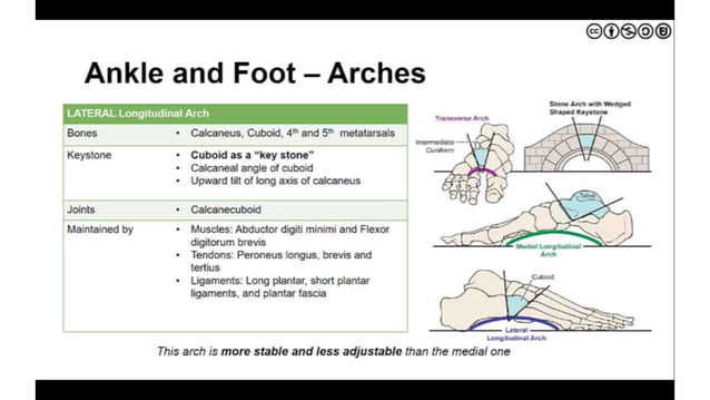 Biomechanics of foot and ankle | PPTX