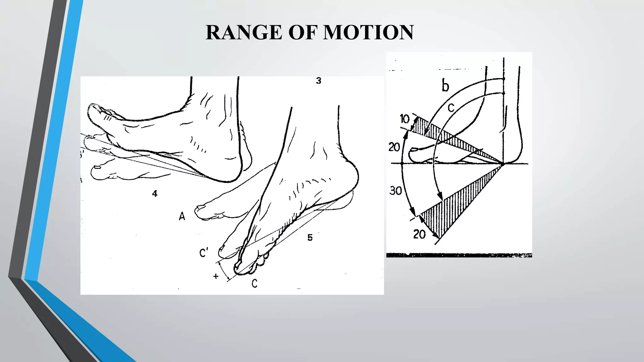Biomechanics of foot and ankle | PPTX