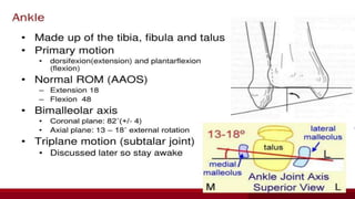 Biomechanics of foot and ankle | PPTX