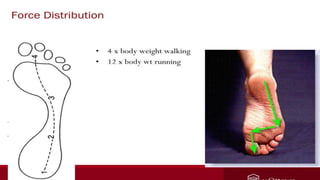 Biomechanics of foot and ankle | PPTX