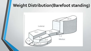 Biomechanics of foot and ankle | PPTX
