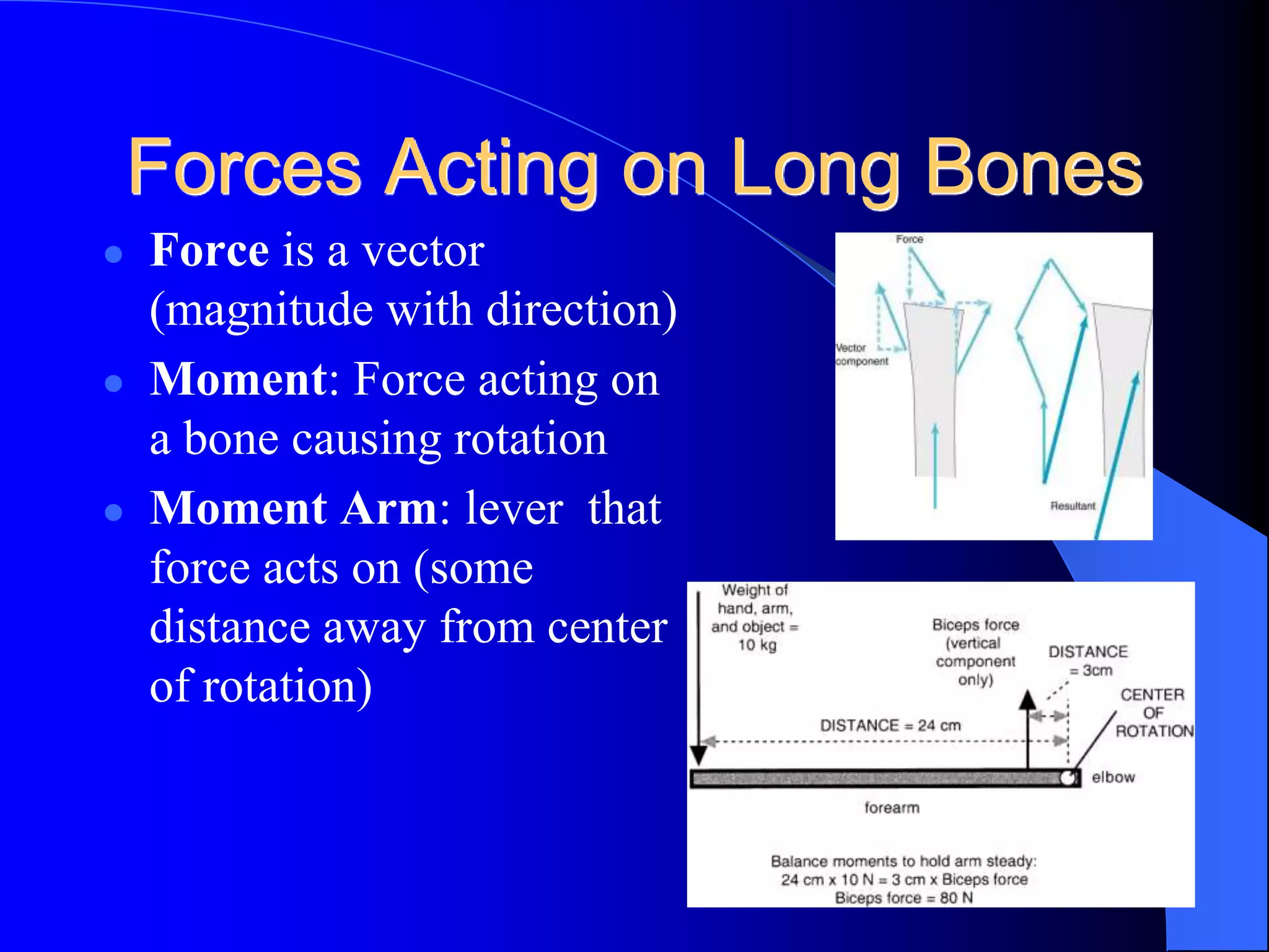 Biomechanics of Fracture and Fixation Justice 10.3.2005 (1).pptx