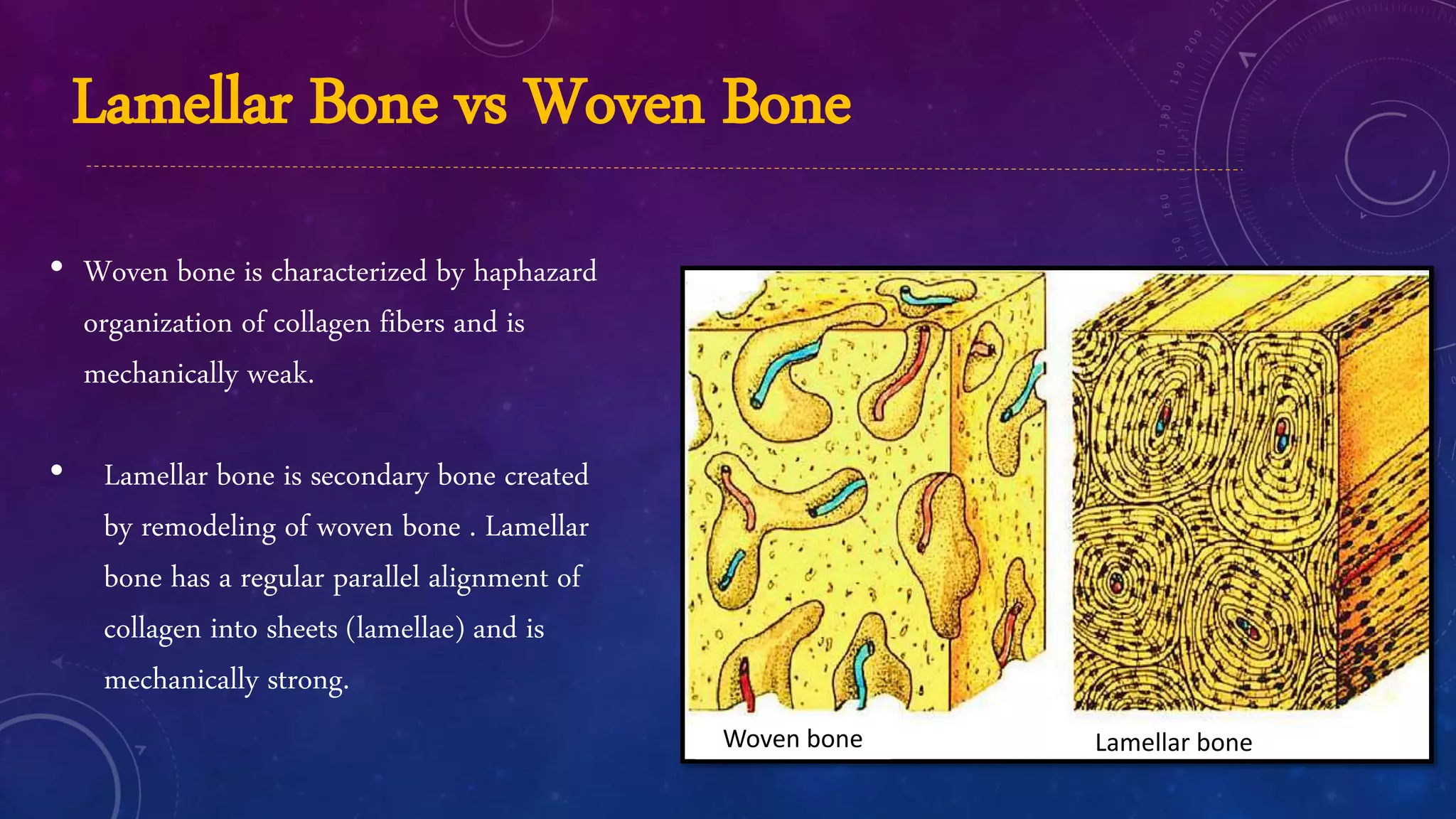 Biomechanics of fracture and fracture healing | PPTX
