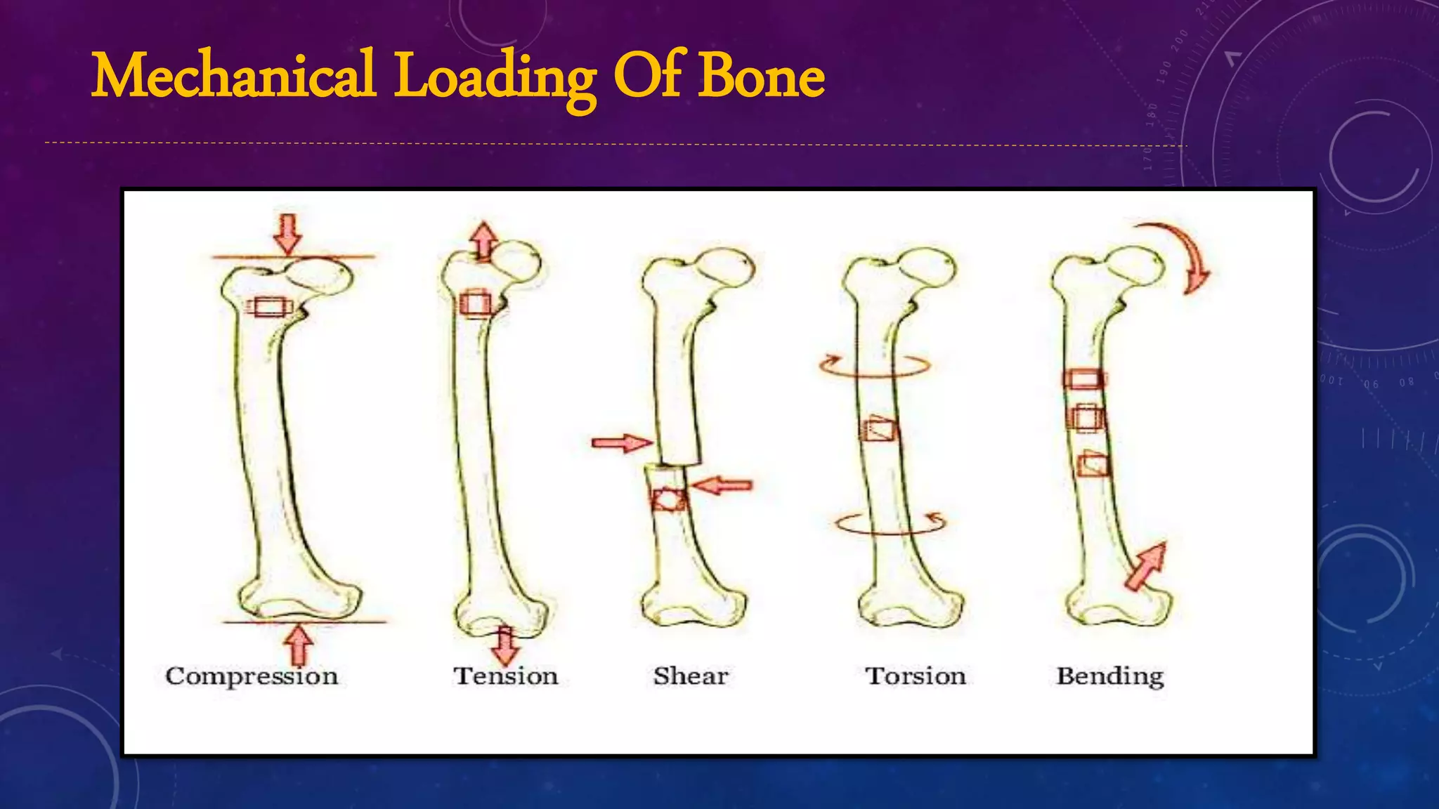 Biomechanics of fracture and fracture healing | PPTX