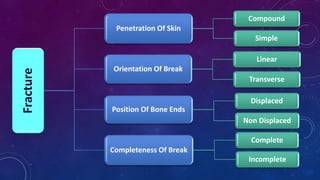 Biomechanics of fracture and fracture healing | PPTX