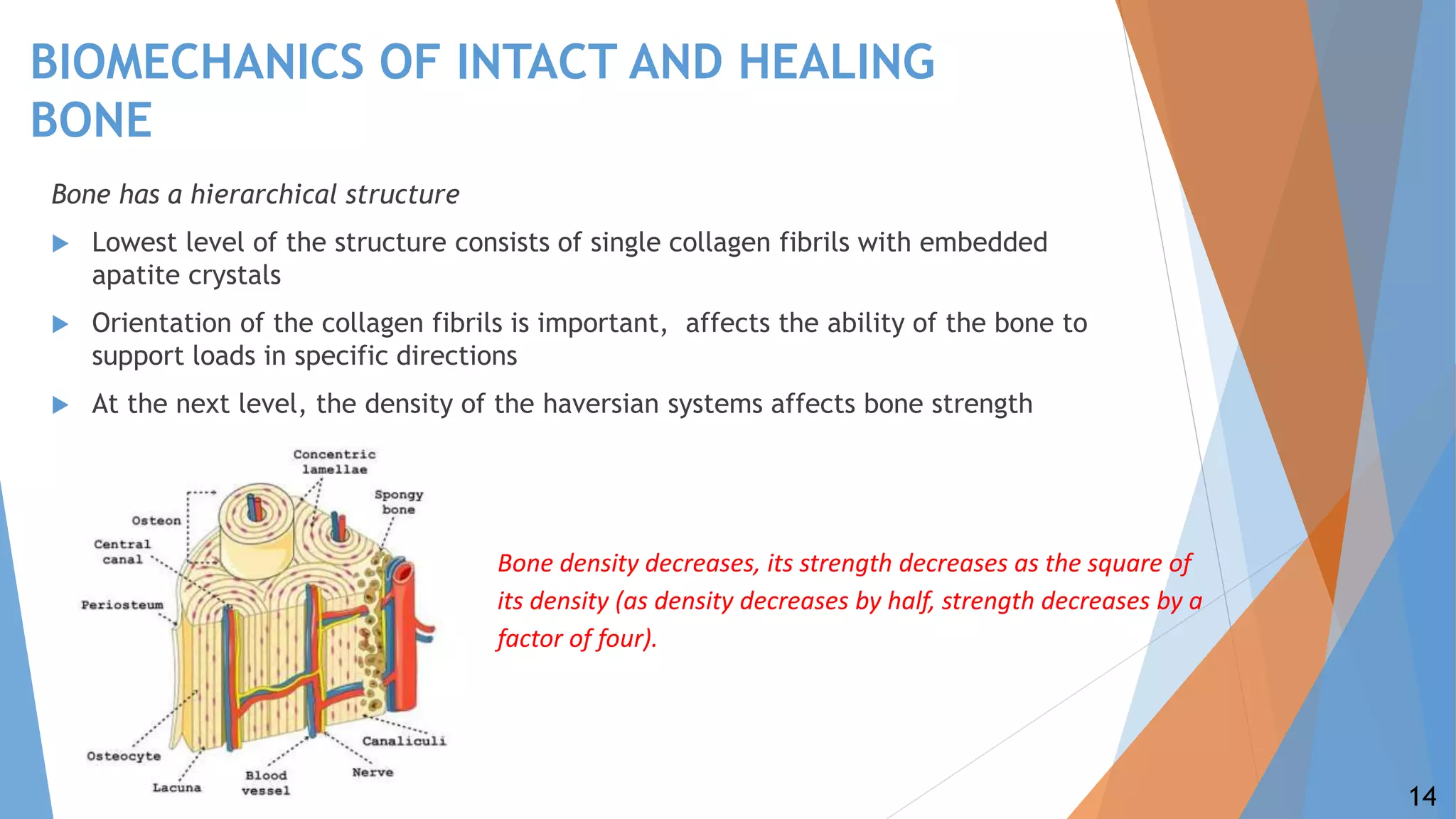 Biomechanics of Fractures and Fracture Fixation.pptx