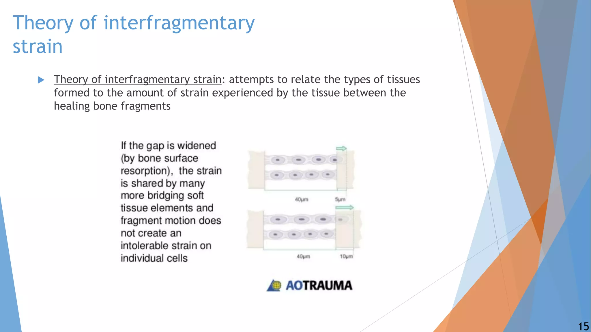 Biomechanics of Fractures and Fracture Fixation.pptx