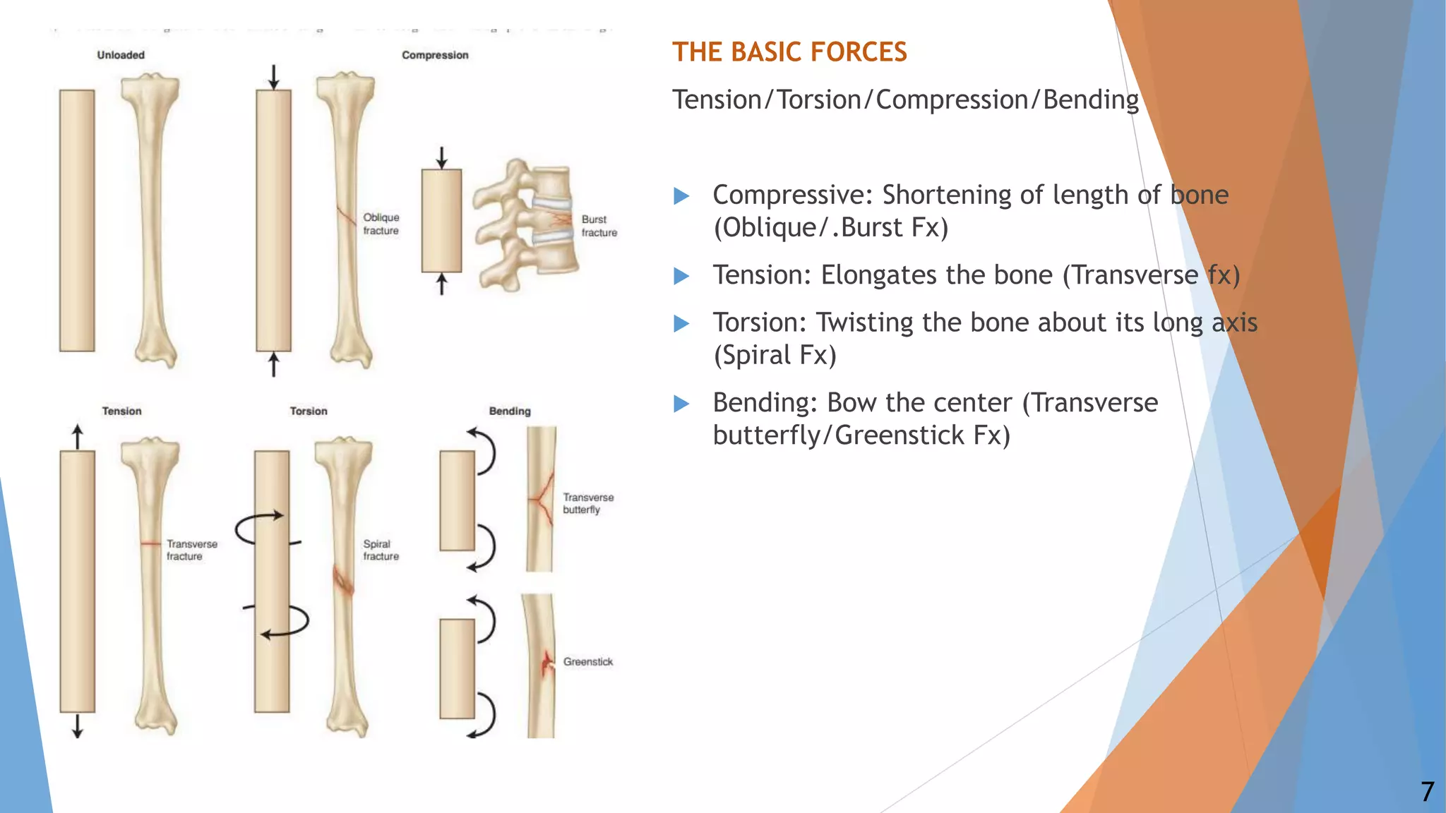 Biomechanics of Fractures and Fracture Fixation.pptx