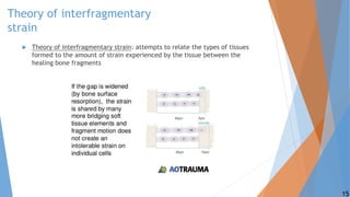 Biomechanics of Fractures and Fracture Fixation.pptx
