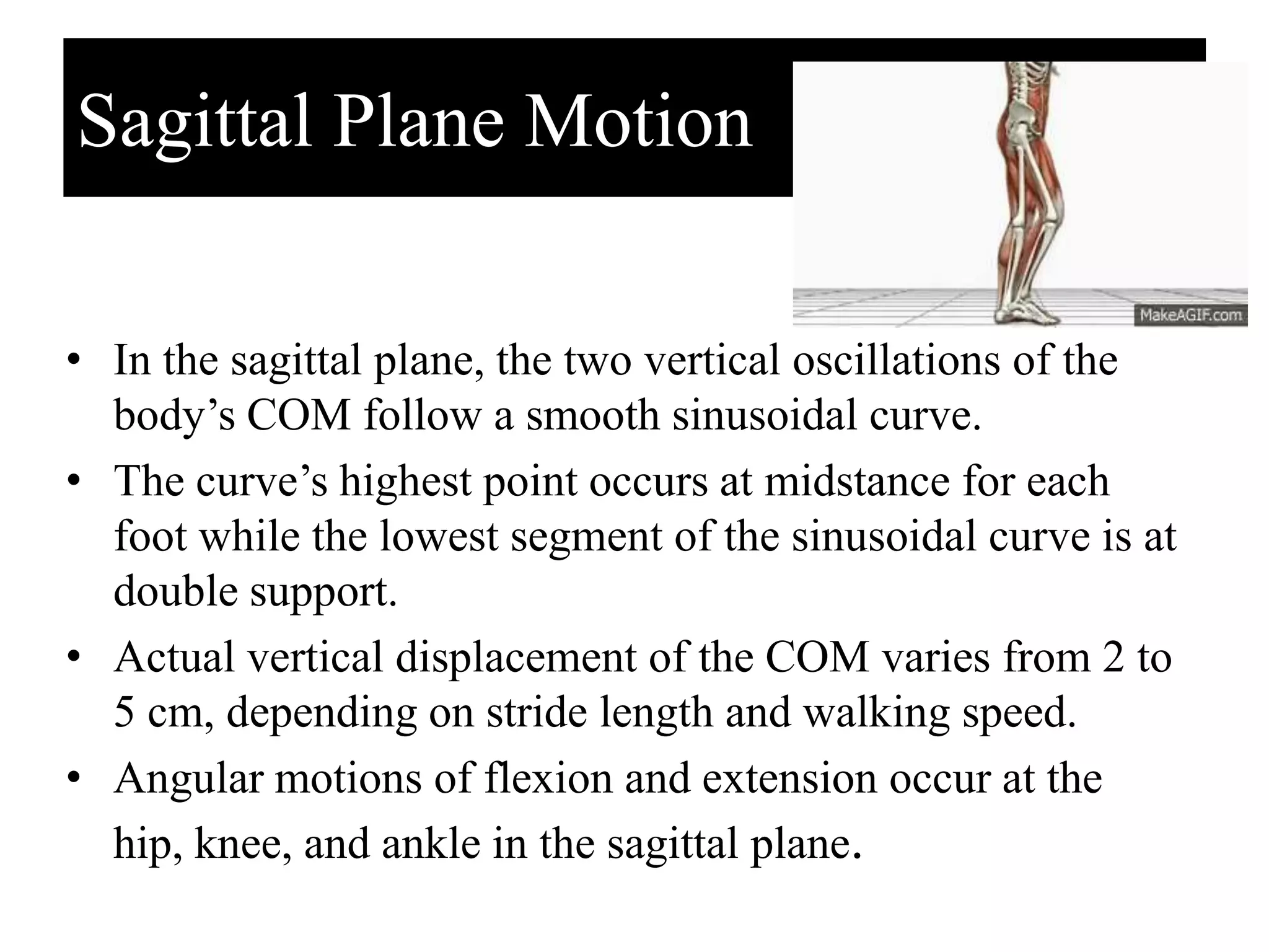 Biomechanics of Gait, Posture and ADL | PPTX