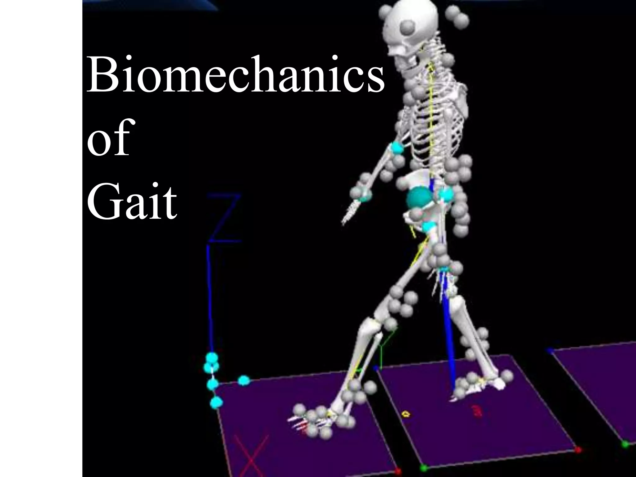 Biomechanics of Gait, Posture and ADL | PPTX