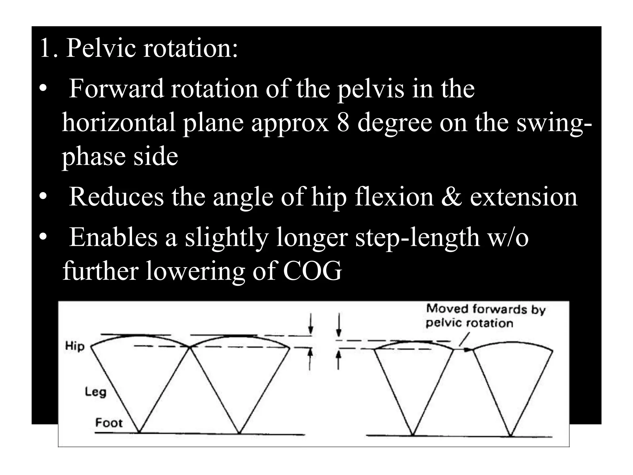 Biomechanics of Gait, Posture and ADL | PPTX