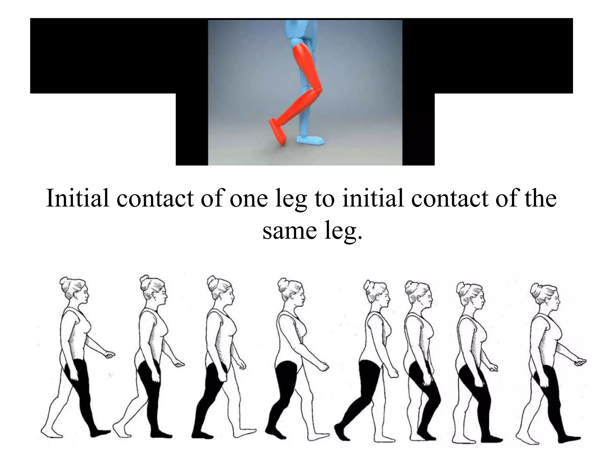 Biomechanics of Gait, Posture and ADL | PPTX