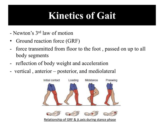 Biomechanics of Gait, Posture and ADL | PPTX
