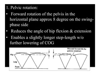 Biomechanics of Gait, Posture and ADL | PPTX