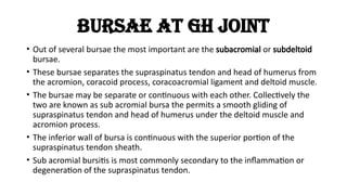 BIOMECHANICS & KINESIOLOGY OF GLENOHUMERAL JOINT.pptx