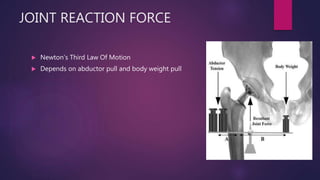 Biomechanics of hip | PPT