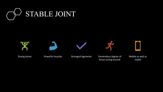 Biomechanics of hip | PPTX