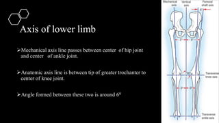 Biomechanics of hip | PPTX
