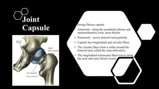 Biomechanics of hip | PPTX