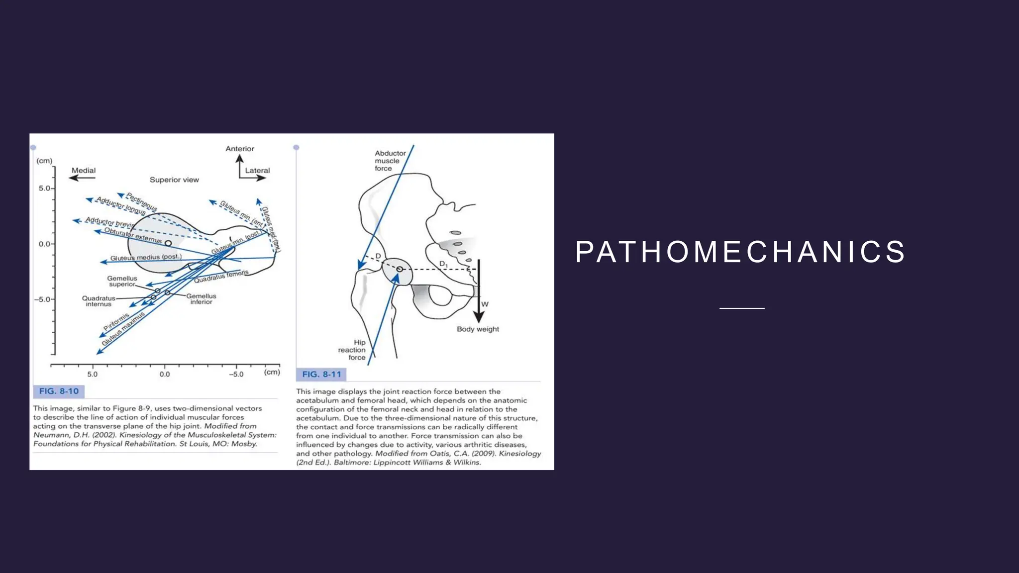 Hip Joint Biomechanics & its Kinetics and Kinematics | PPTX