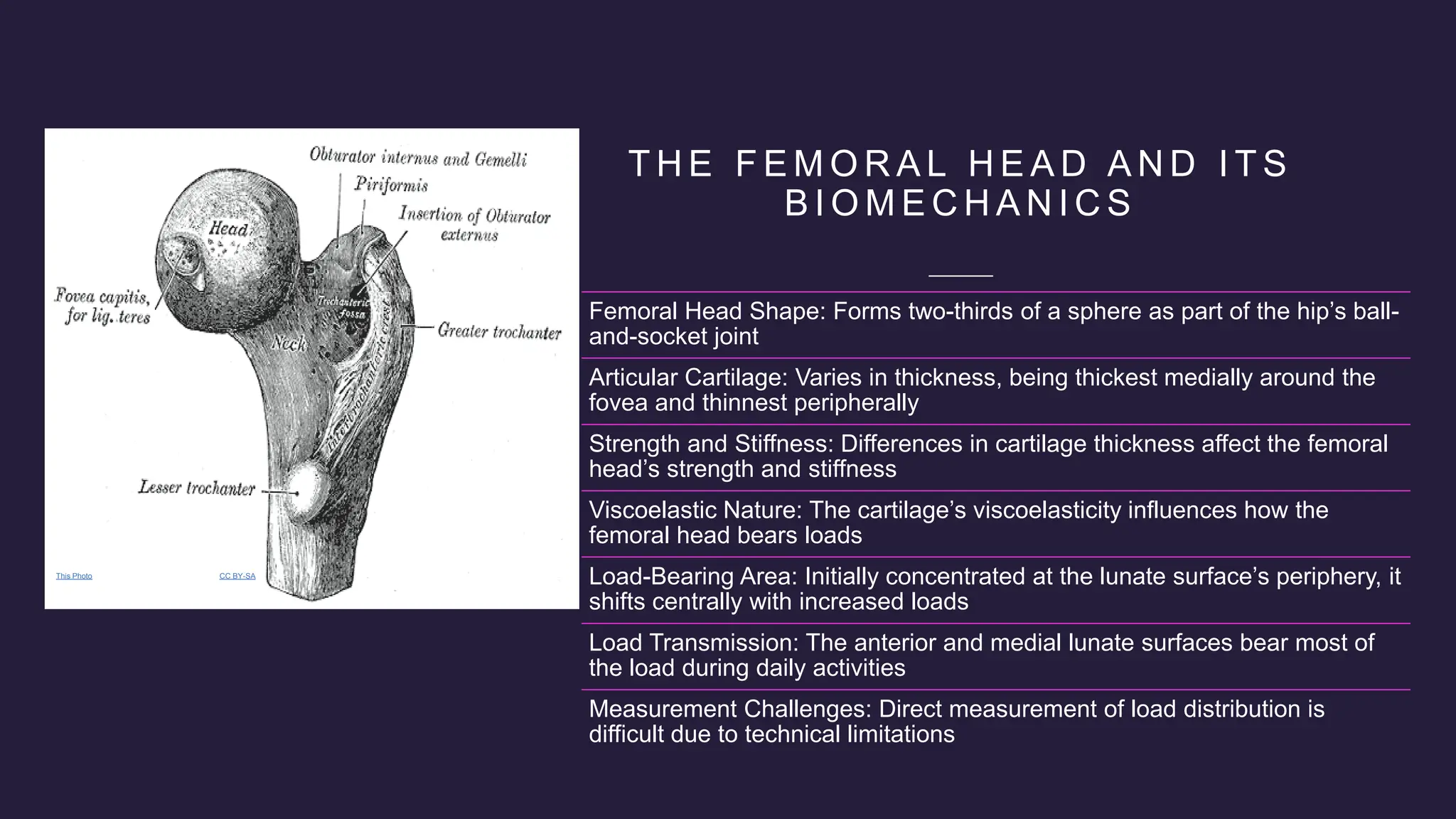 Hip Joint Biomechanics & its Kinetics and Kinematics | PPTX