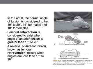 Biomechanics of hipdjjhfdyjhgdfukkij.pdf