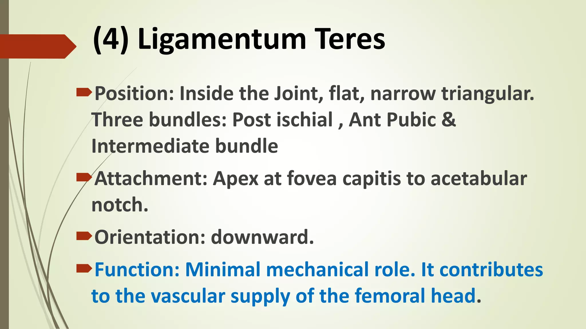 Biomechanics of HIP | PPTX