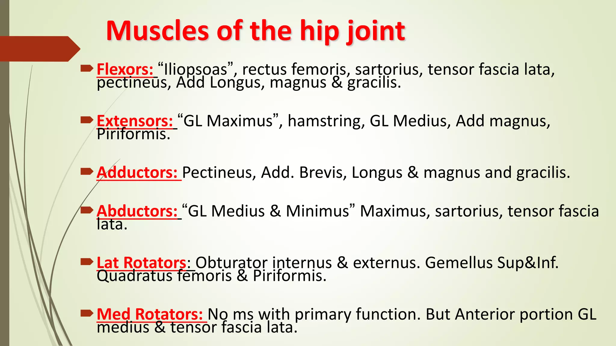 Biomechanics of HIP | PPTX