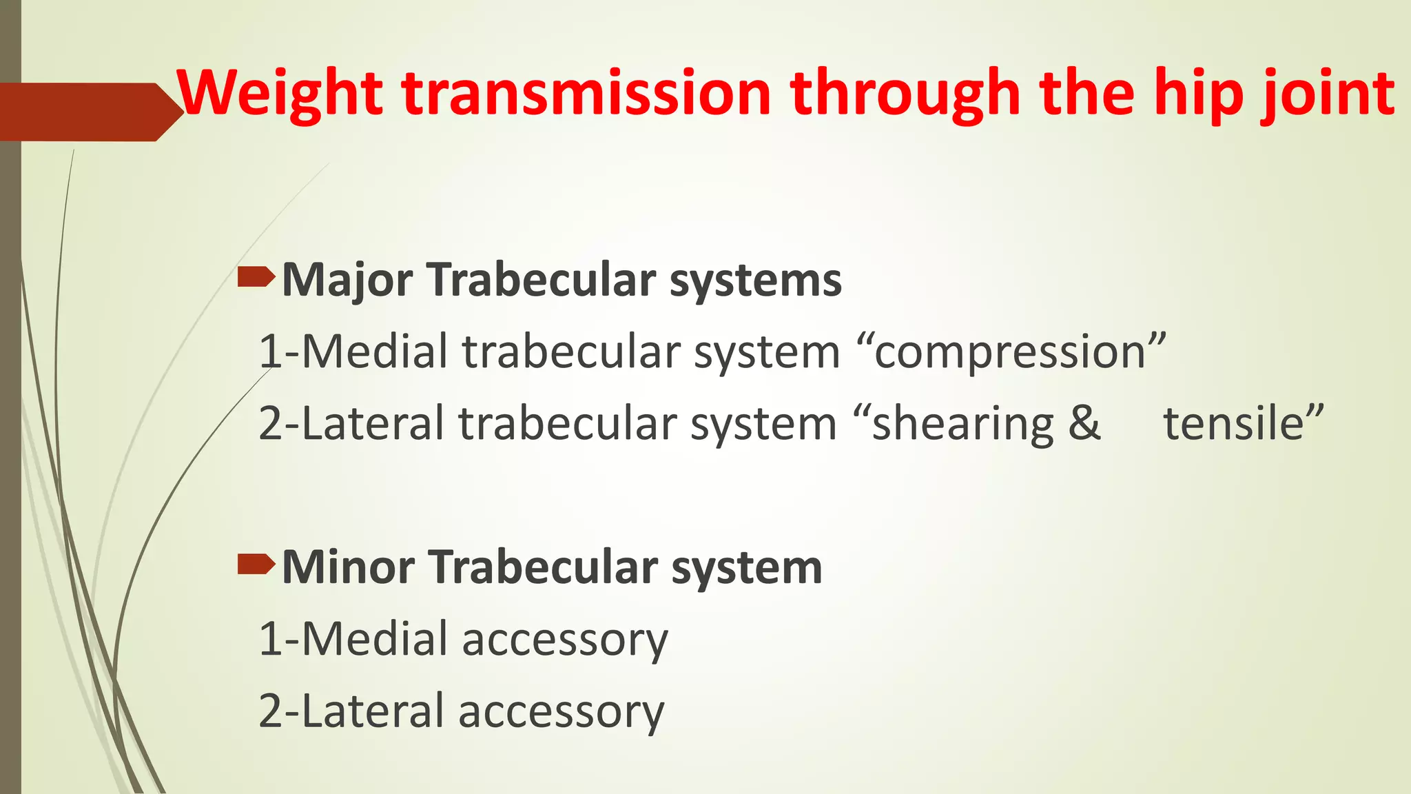 Biomechanics of HIP | PPTX