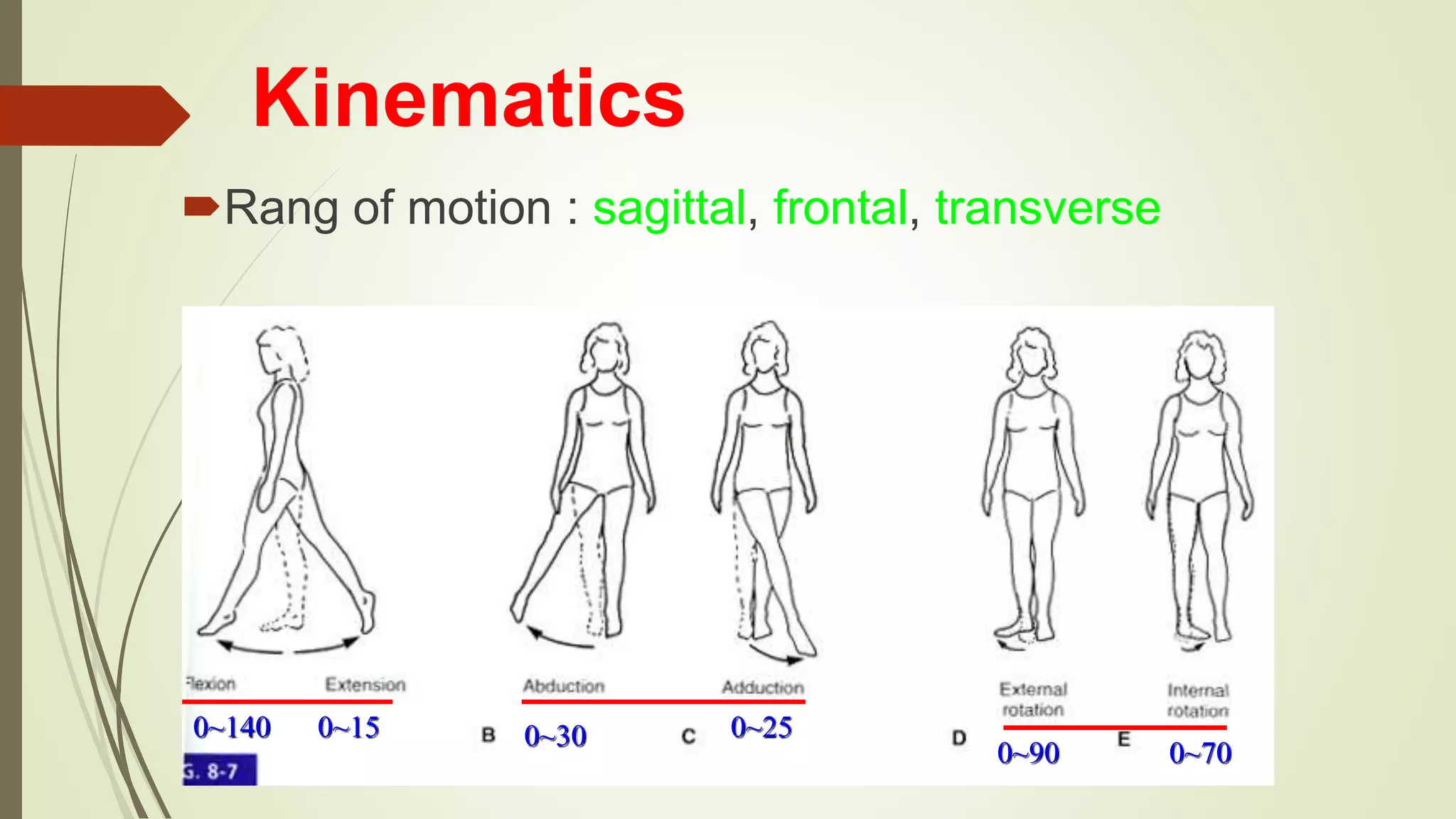 Biomechanics of HIP | PPTX