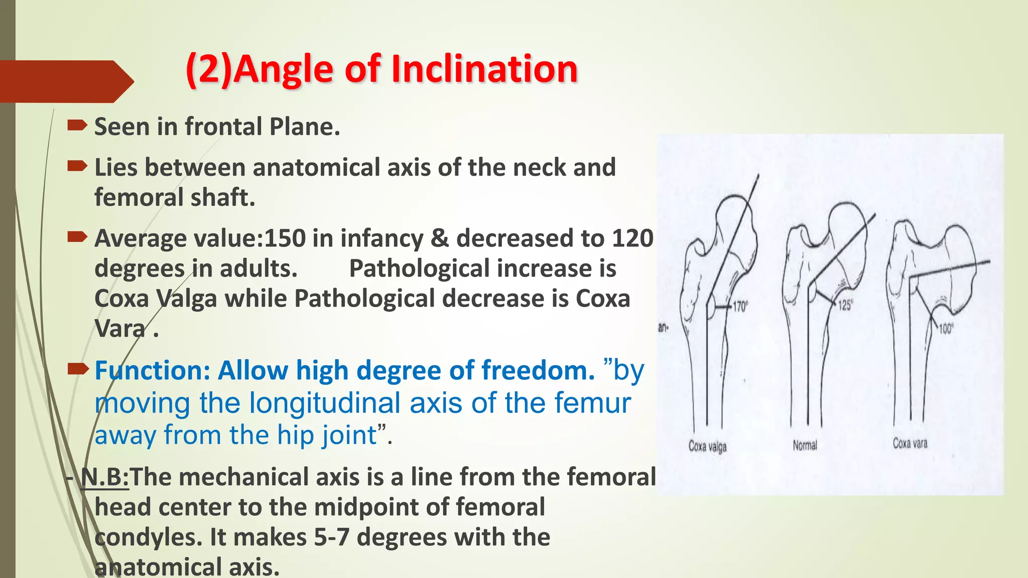 Biomechanics of HIP | PPTX