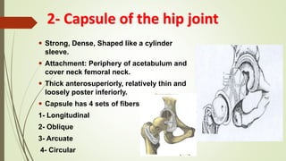 Biomechanics of HIP | PPTX