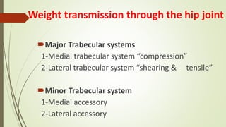 Biomechanics of HIP | PPTX