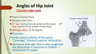 Biomechanics of HIP | PPTX