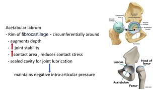 Biomechanics of hip 2.pptx | Death, Injury, or Military Conflict ...