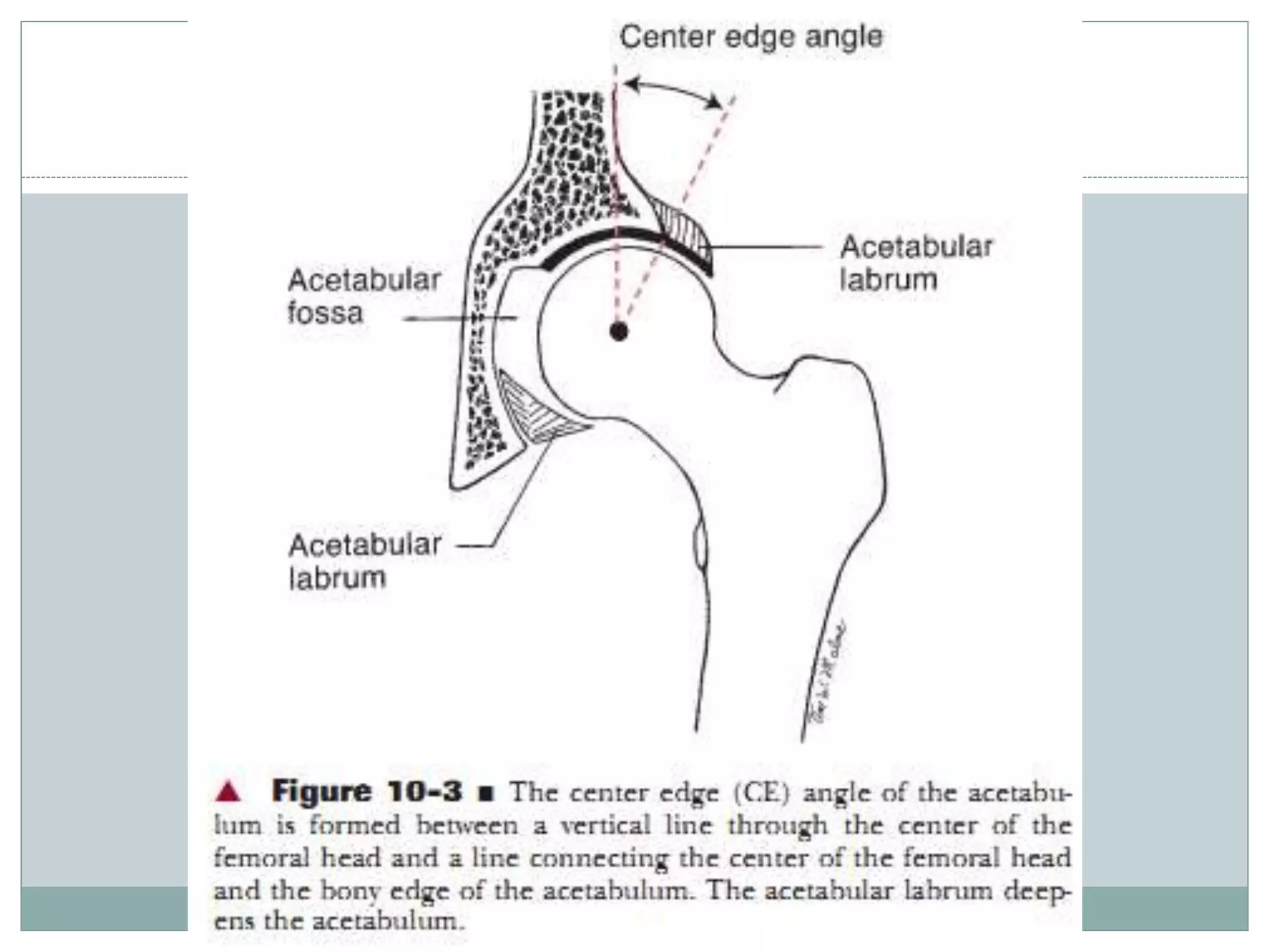 Biomechanics of hip complex 1 | PPTX
