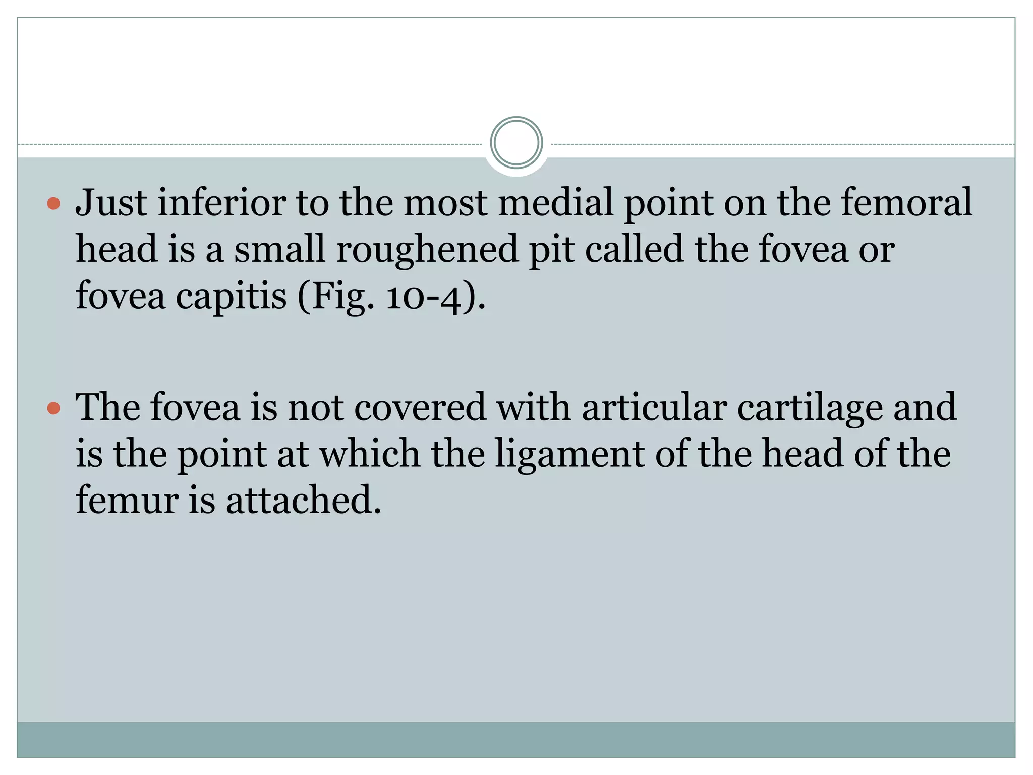 Biomechanics of hip complex 1 | PPTX