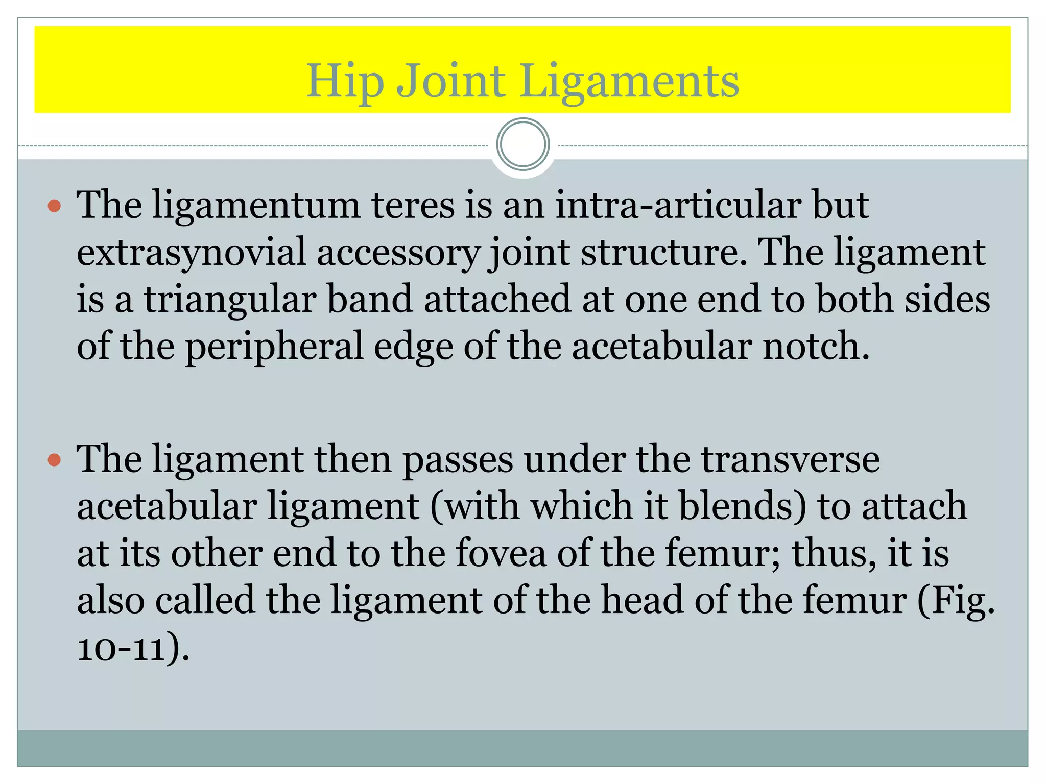 Biomechanics of hip complex 1 | PPTX