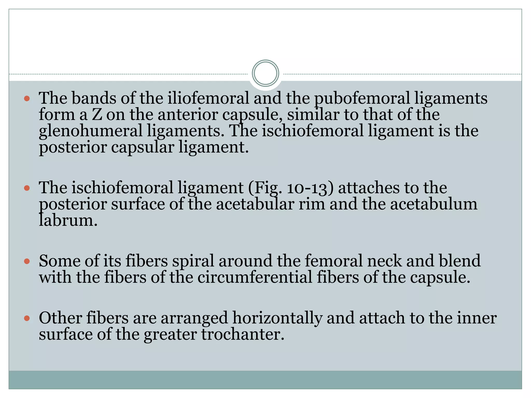 Biomechanics of hip complex 1 | PPTX