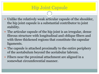 Biomechanics of hip complex 1 | PPTX