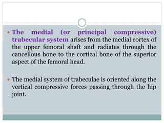 Biomechanics of hip complex 1 | PPTX