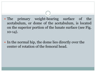 Biomechanics of hip complex 1 | PPTX